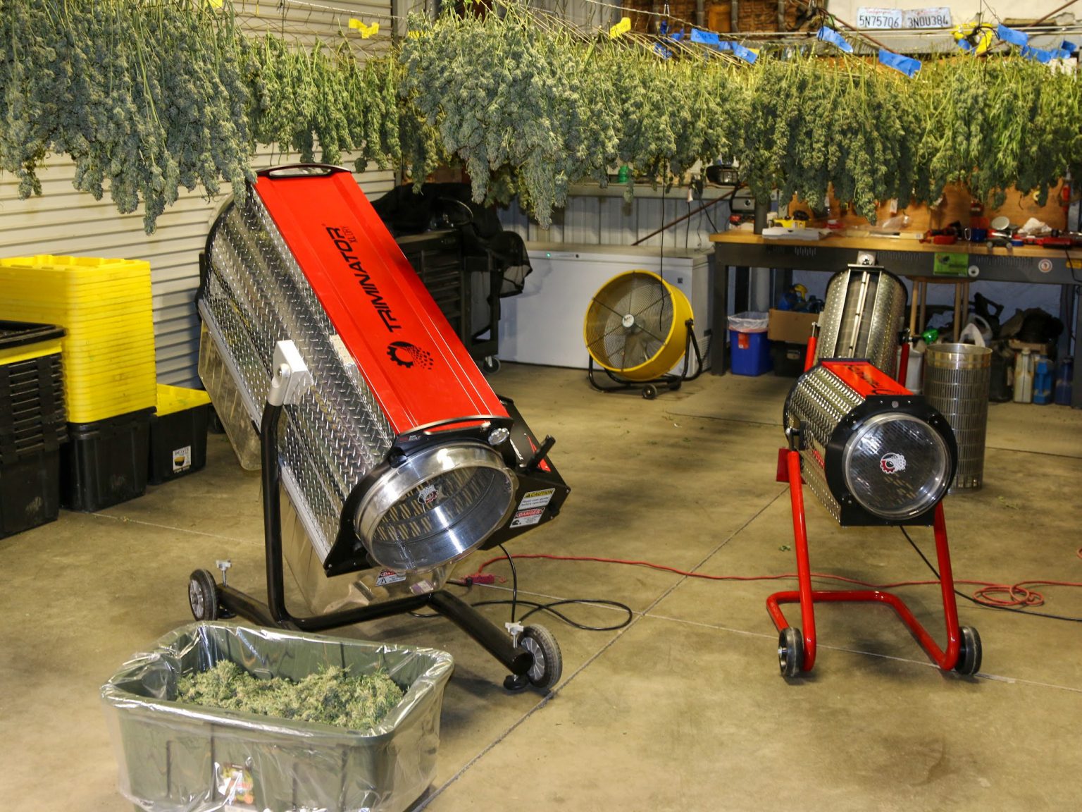 How to Cure Cannabis: Step-by-Step Guide | Triminator