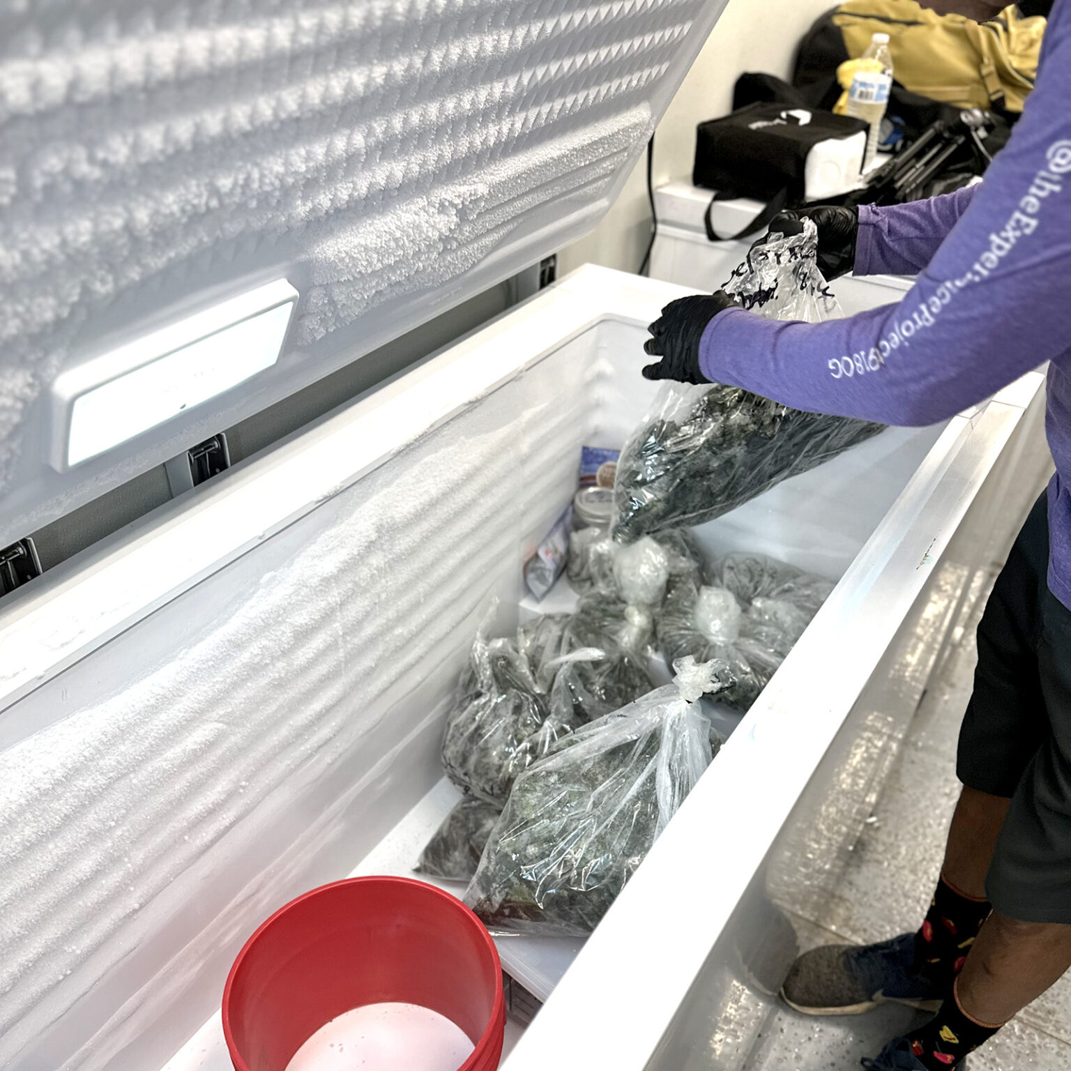 Fresh Frozen Cannabis | Triminator