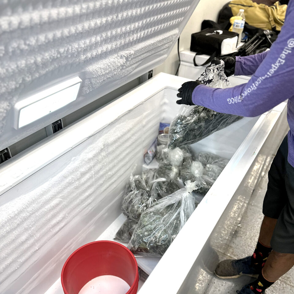 Fresh Frozen Cannabis | Triminator