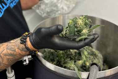 Fresh Frozen Cannabis | Triminator