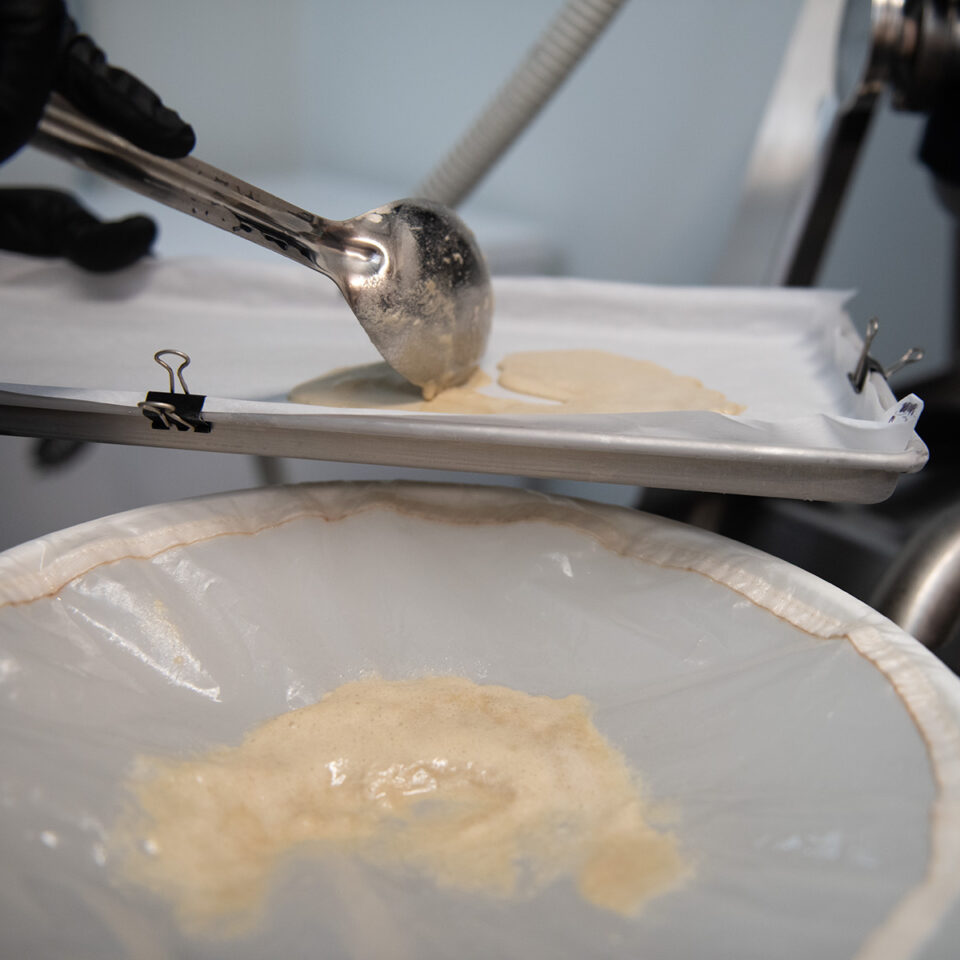 How to Press Bubble Hash: The Ultimate Guide | Triminator